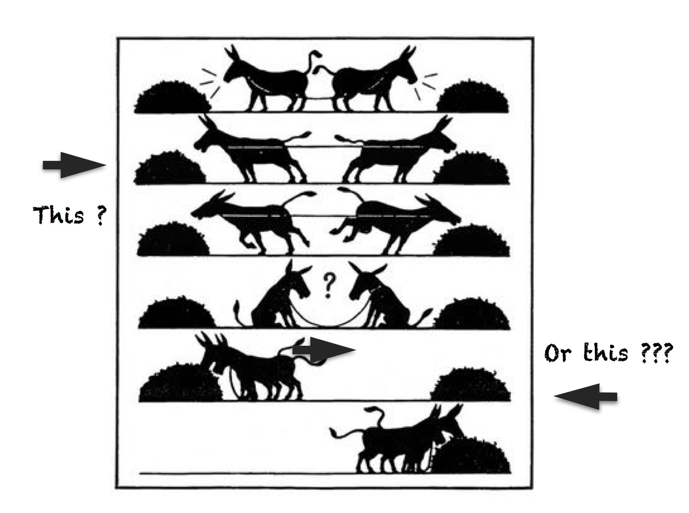 A tale of two outcomes – Insights